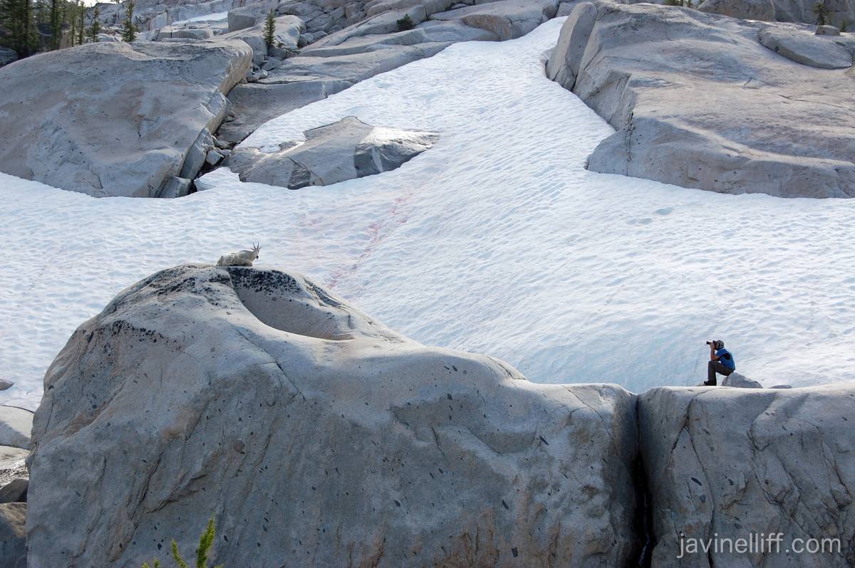 Javin Elliff Photography - About