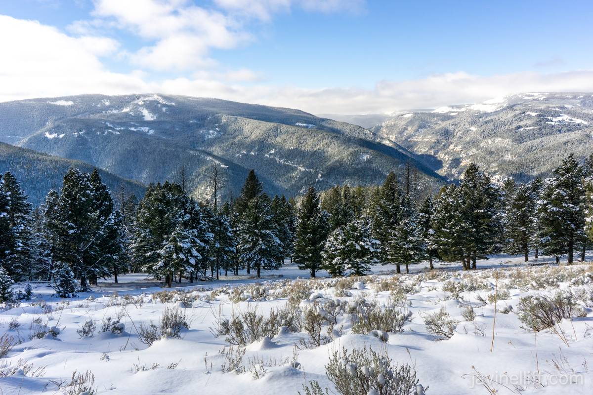 Javin Elliff Photography - Updates