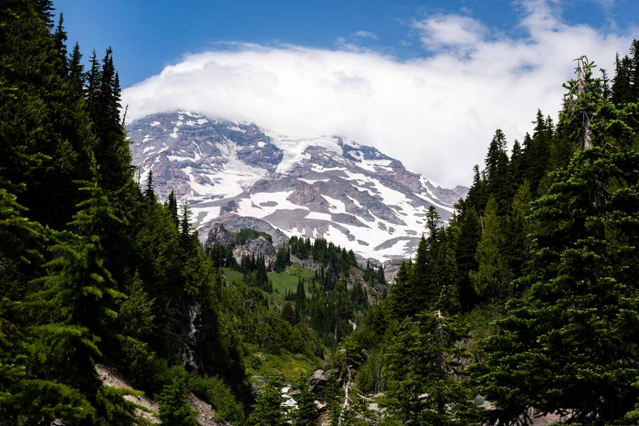 Javin Elliff Photography - Updates